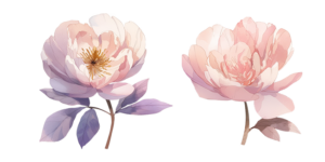 Auroral Peony Flower Cursor - Sweezy Custom Cursors