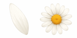 Flowers Cursors Collection - Sweezy Custom Cursors