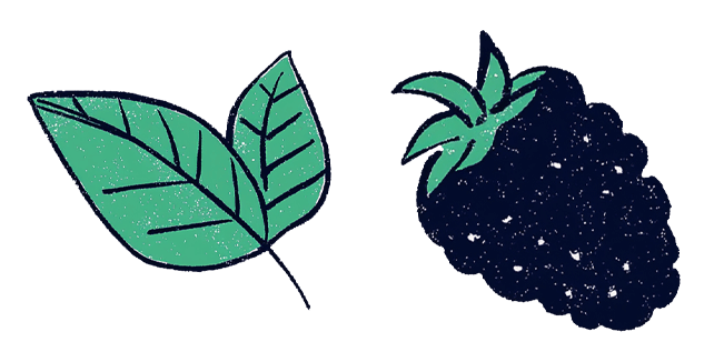 Green Leaf & Blackberry Fruit Cursor - Sweezy Custom Cursors