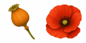 Flowers Cursors Collection - Sweezy Custom Cursors