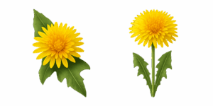 Flowers Cursors Collection - Sweezy Custom Cursors