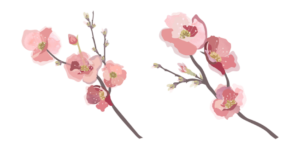 Watercolor Sakura Branch Cursor - Sweezy Custom Cursors